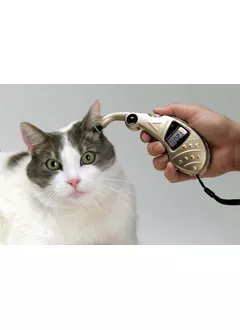 Sound Vet on-line Vet-Temp Instant Thermometer (DT-500)