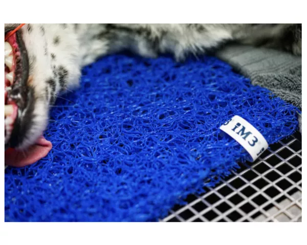 Sound Vet on-line iM3 Dental Mat
