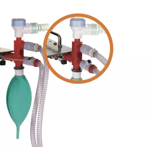 Sound Vet on-line Darvall LAC Circuit Kit