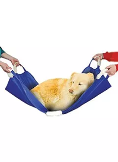 Sound Vet on-line Soft Quick Carry Stretchers