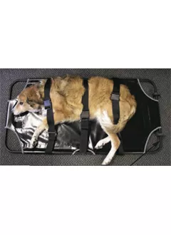 Sound Vet on-line Rigid Animal Stretcher